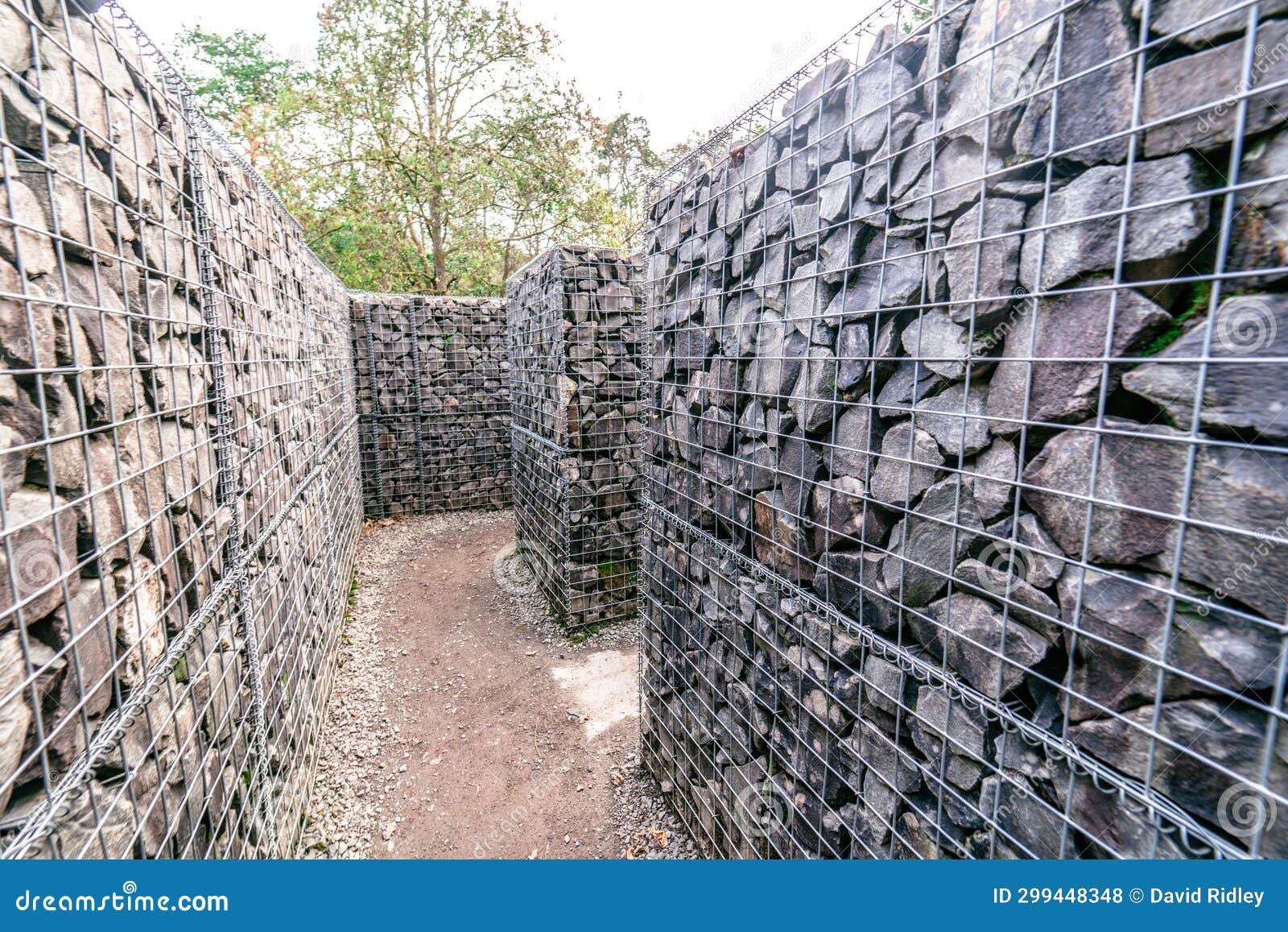 Stone Maze at Kielder Forest Northumberland Stock Photo - Image of ...