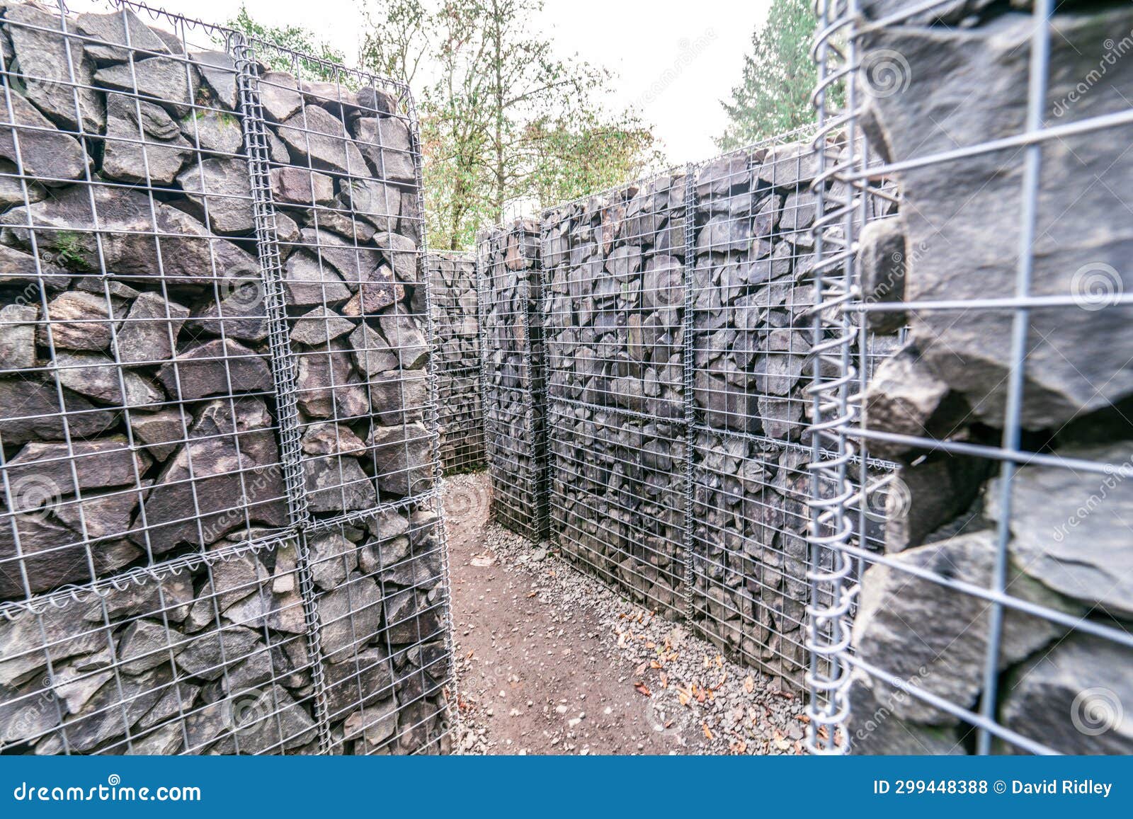 Stone Maze at Kielder Forest Northumberland Stock Photo - Image of ...