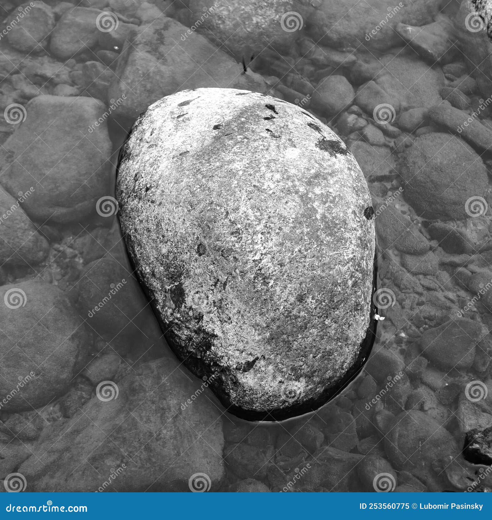 A Stone in the Middle of Water Stock Image - Image of slovak, priroda ...