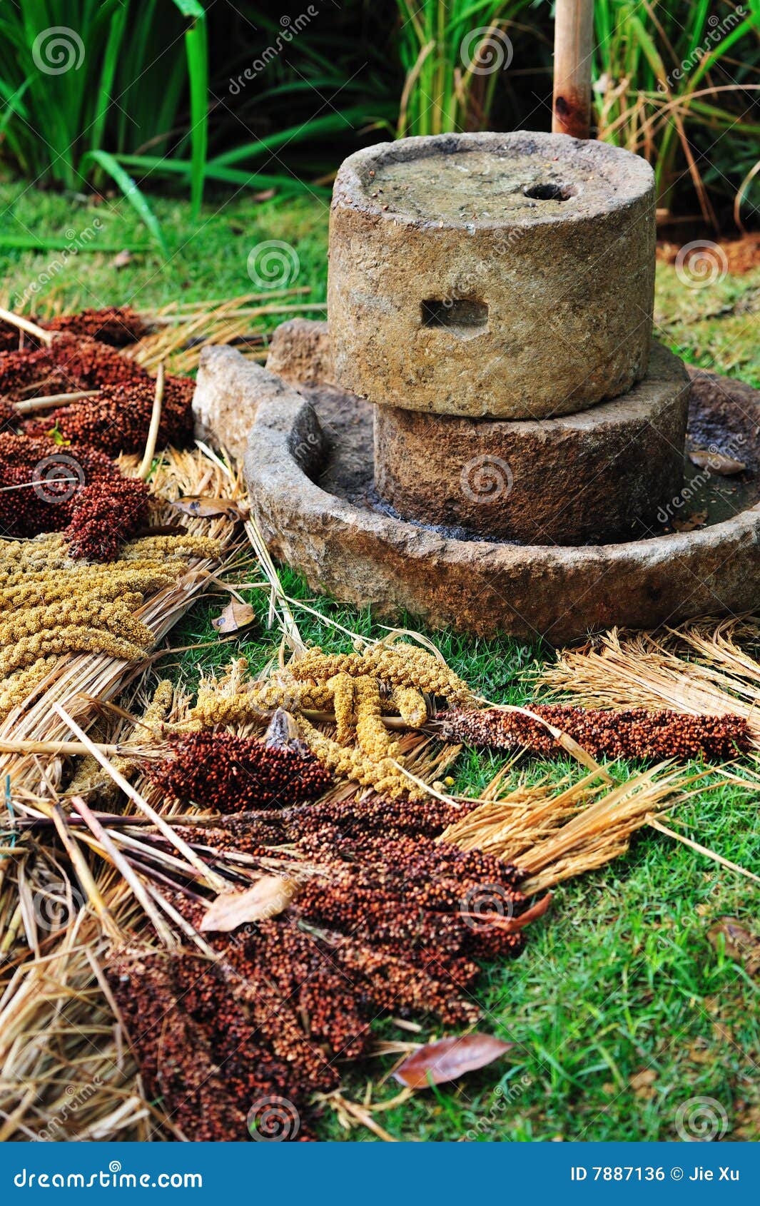 Stone mill stock photo. Image of tool, mill, food, tools - 7887136