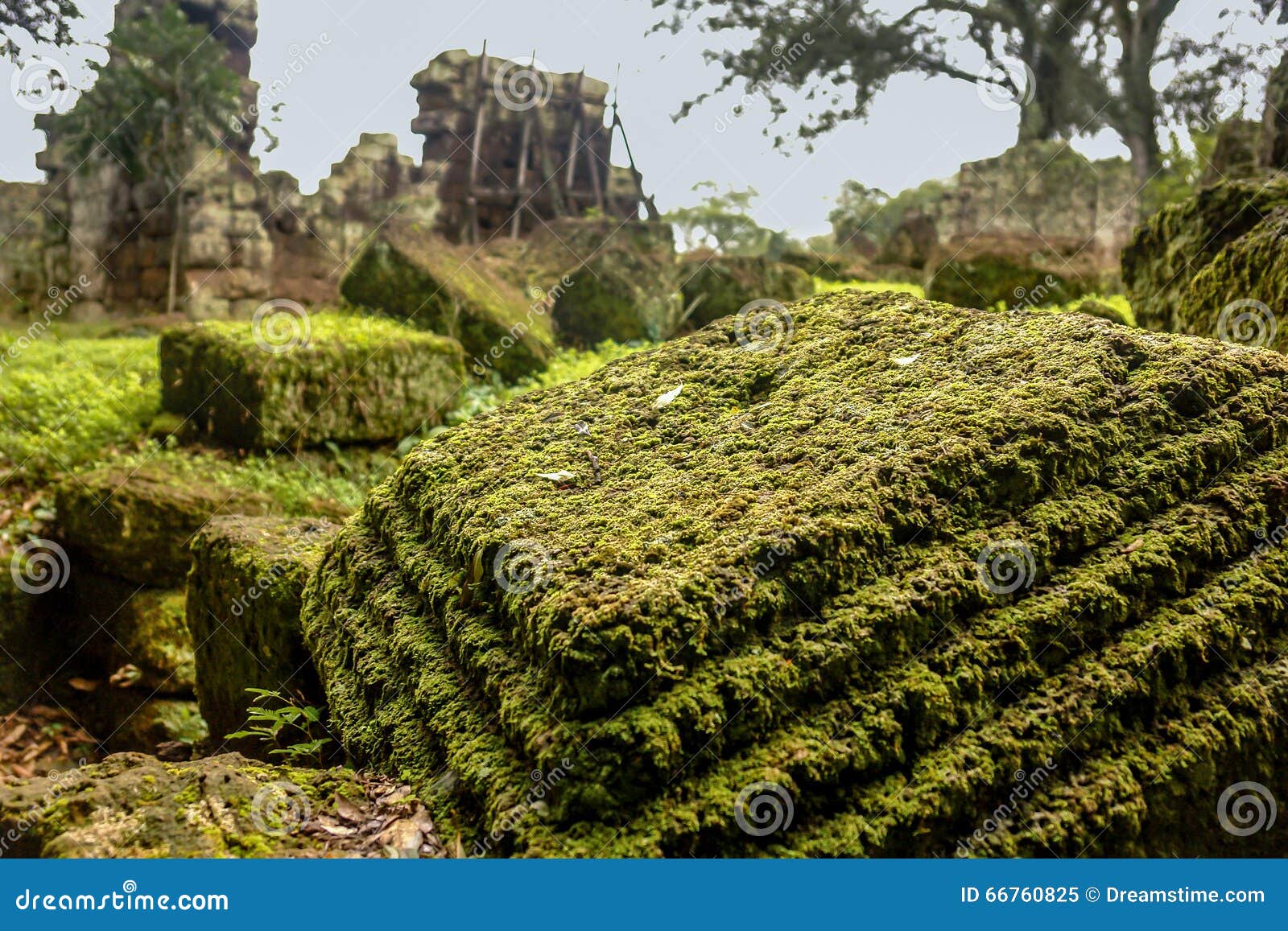 Stone with moss stock image. Image of fresh, green, rocks - 66760825