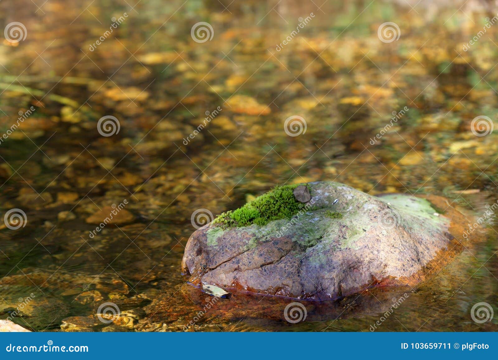 Stone with Moss on the River Stock Image - Image of fall, scene: 103659711