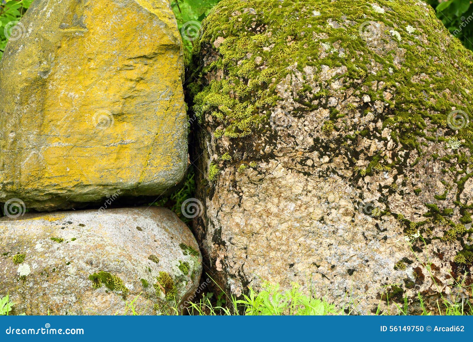 Stone, moss stock photo. Image of outdoors, dirty, macro - 56149750