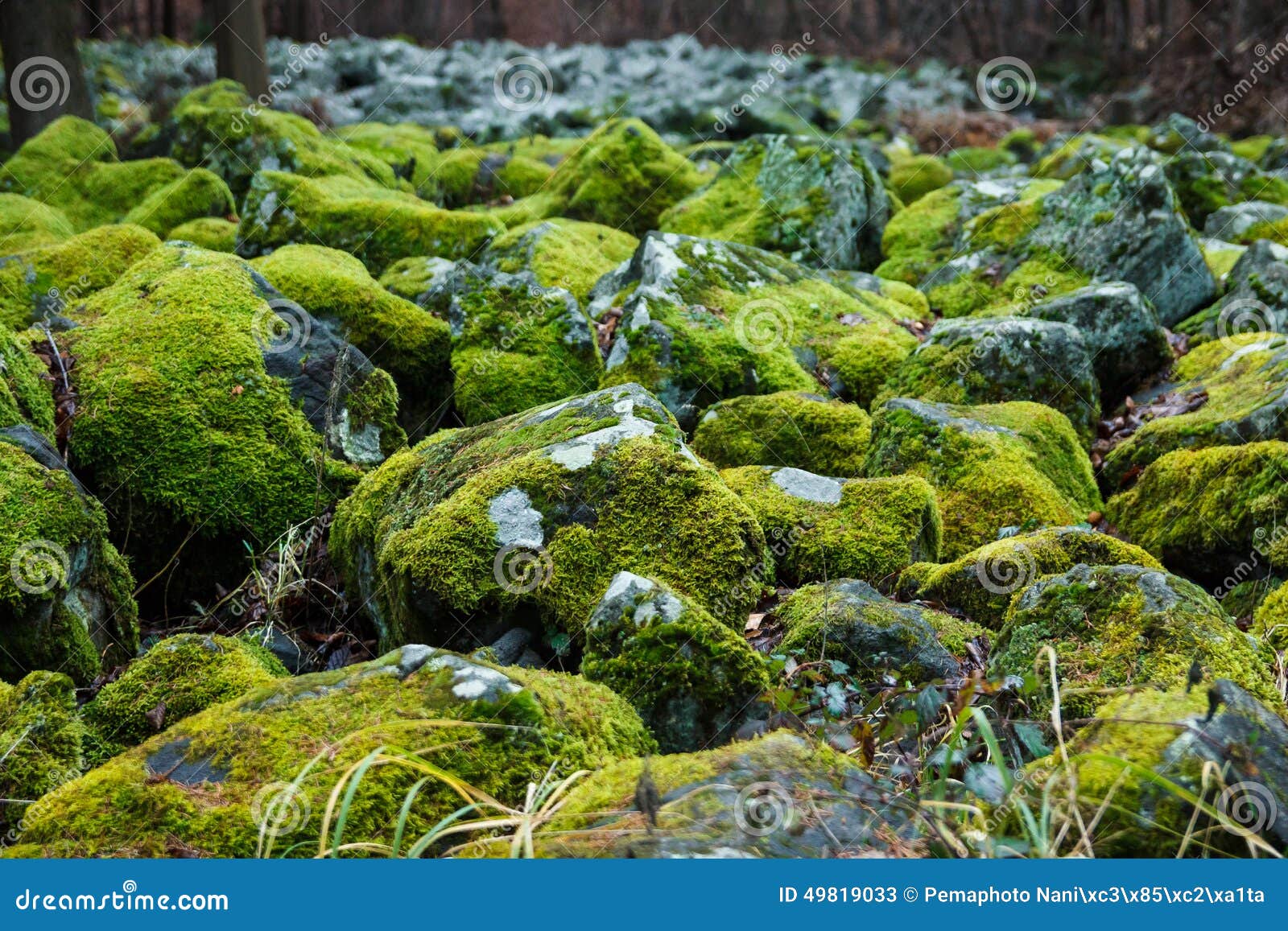 Stone And Moss Texture Background. Royalty-Free Stock Photography ...