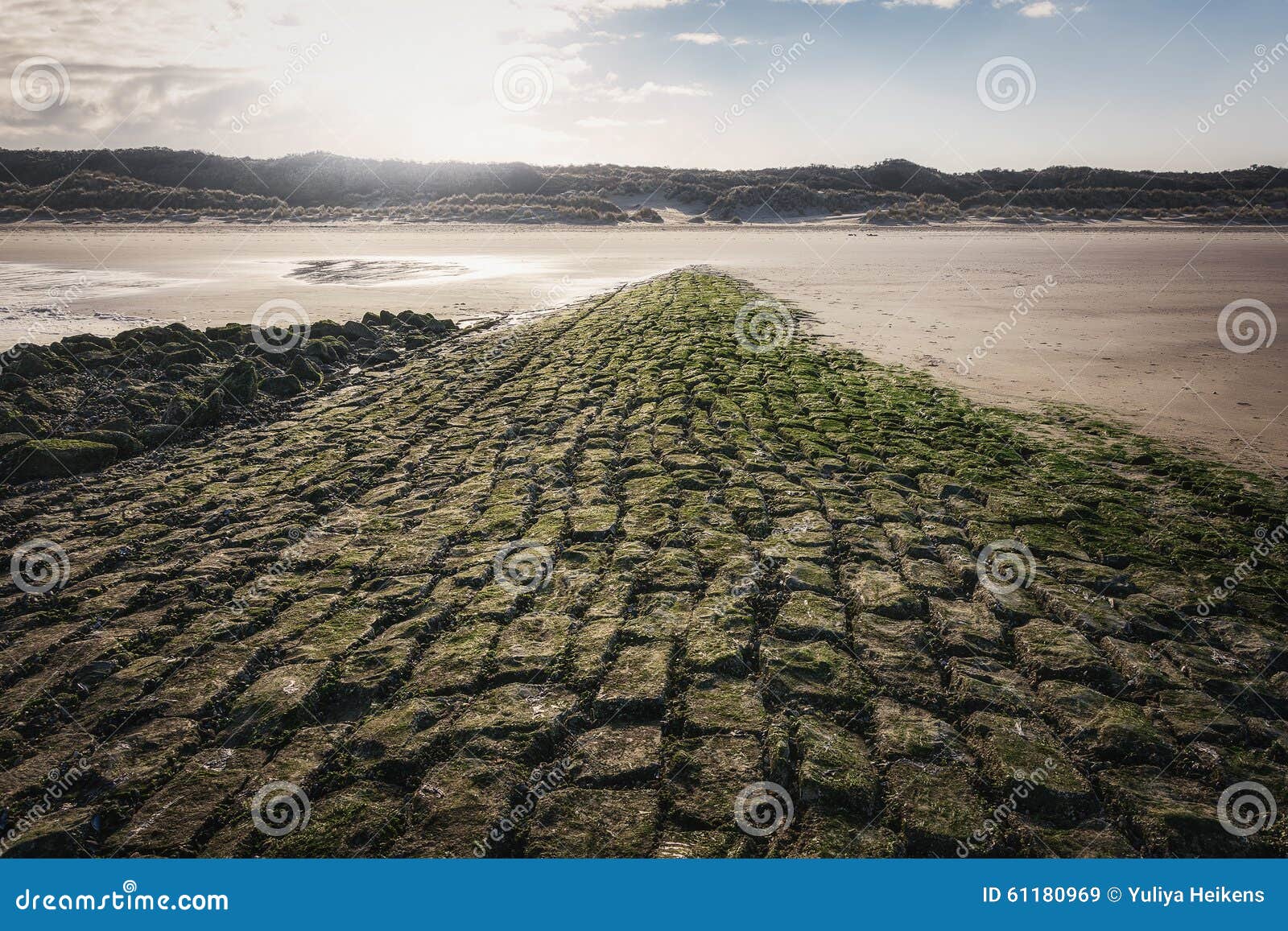 The Stone Mound on the Beach. Stock Image - Image of algae, overgrown ...