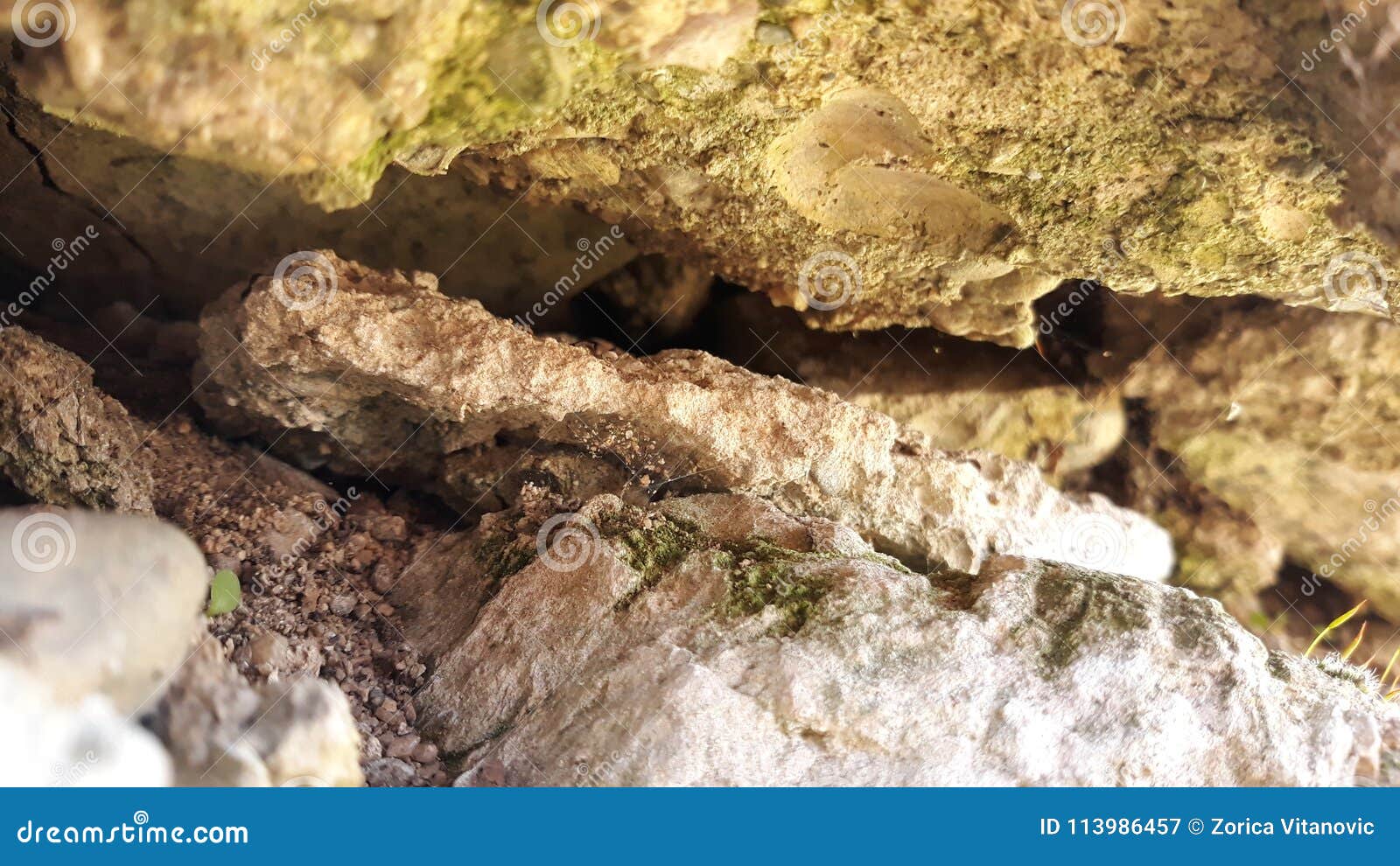 Stone Mountain Cave with Moss Stock Image - Image of mountain, cave ...