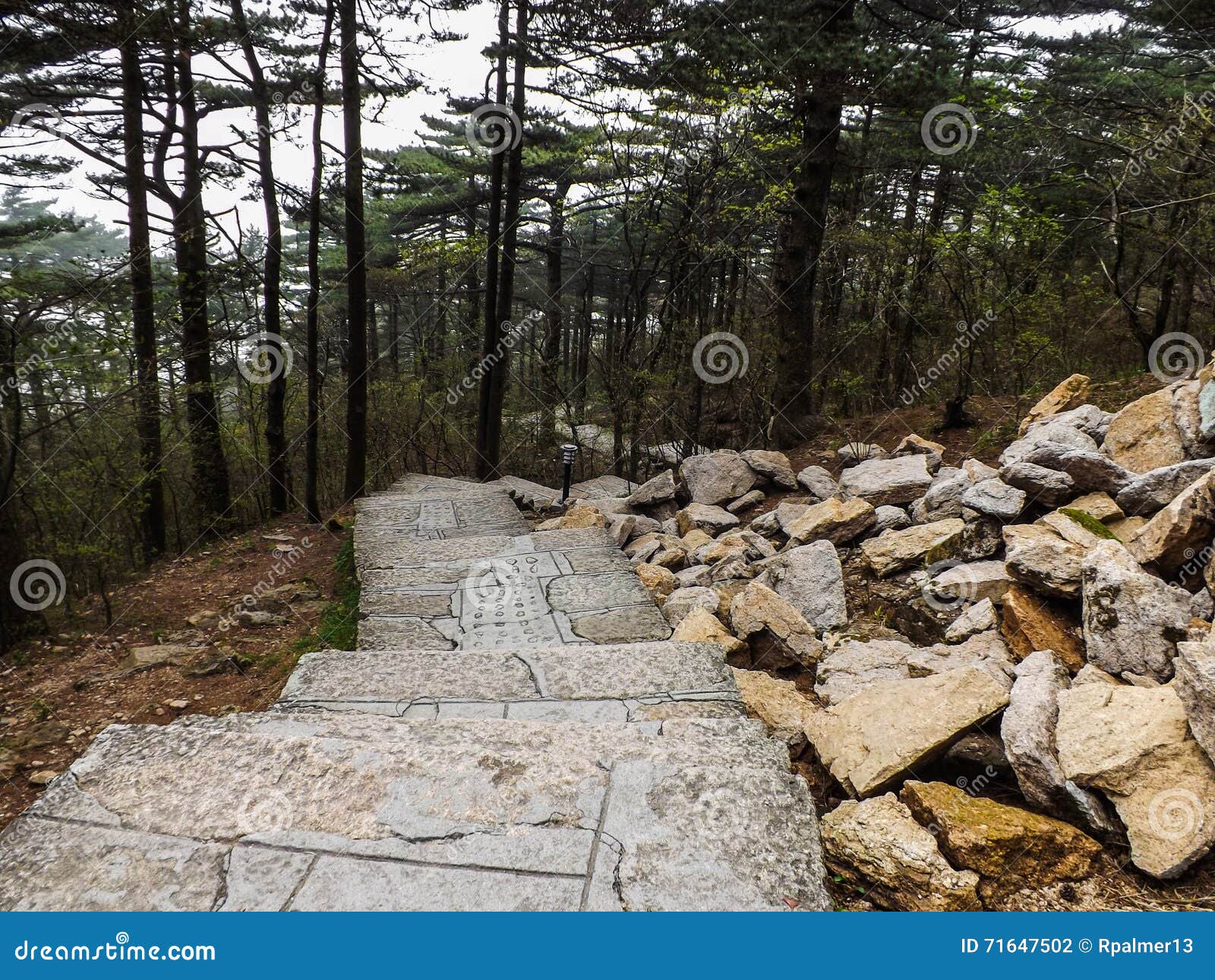 Stone Mountain Path stock photo. Image of green, view - 71647502