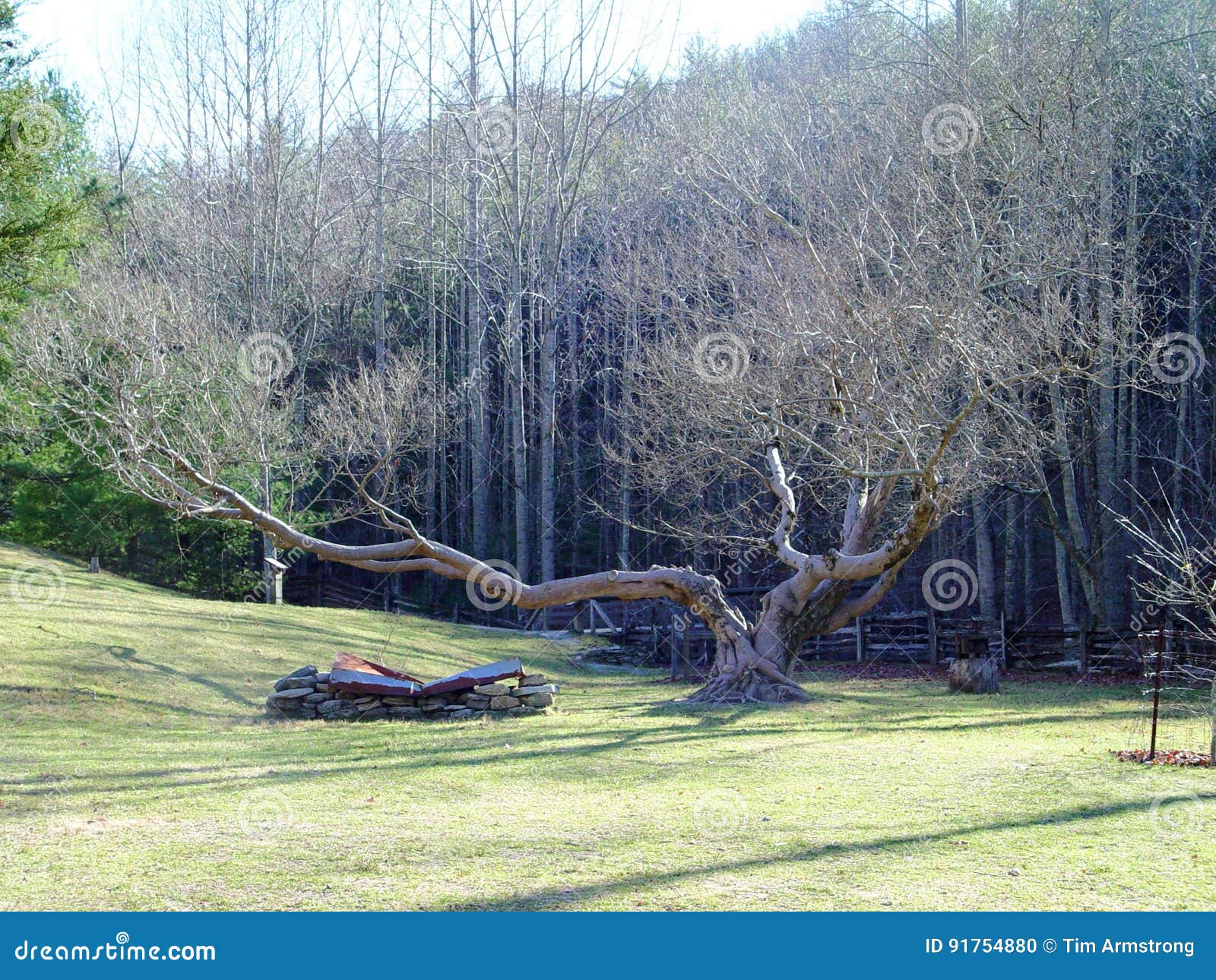 Stone Mountain State Park Meadow Stock Photo - Image of stone, meadows ...