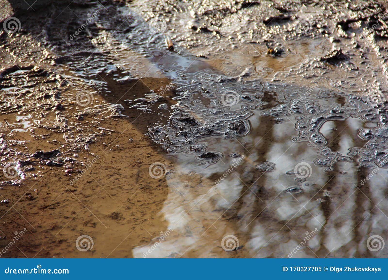 A Stone in a Muddy Puddle from the Rain Stock Image - Image of stone ...