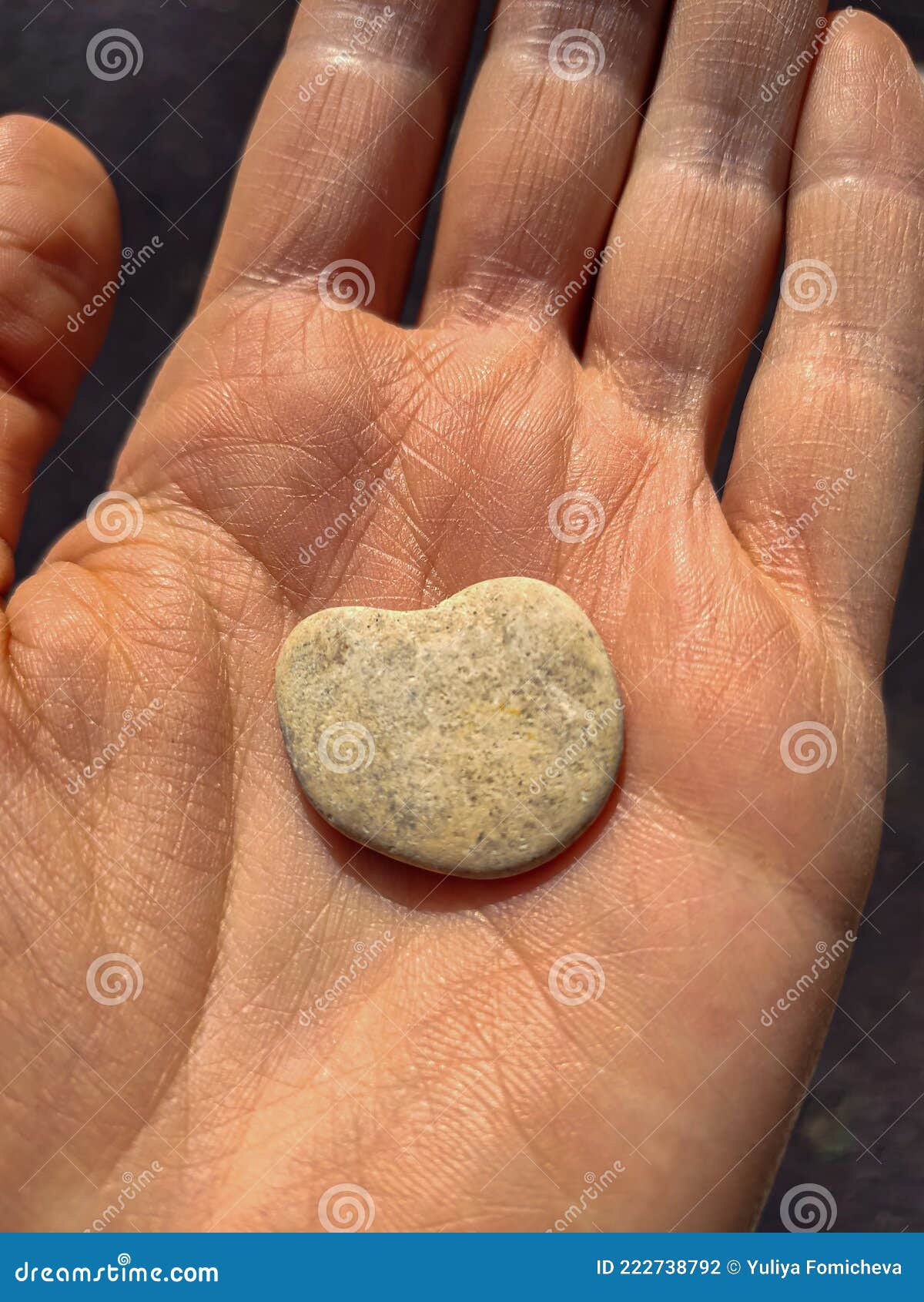 Stone in my hand stock photo. Image of quail, organ - 222738792