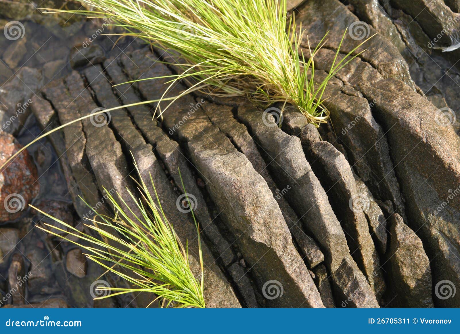 Stone Pages stock image. Image of sunny, grass, nature - 26705311