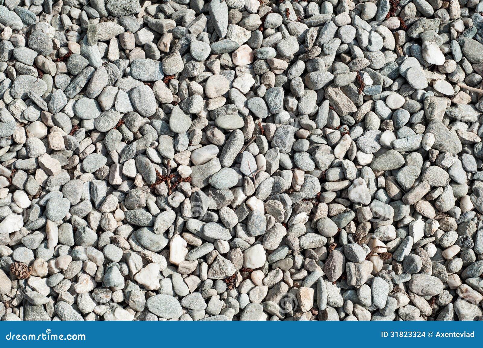 Stone in the Park Texture Background Stock Photo - Image of abstract ...