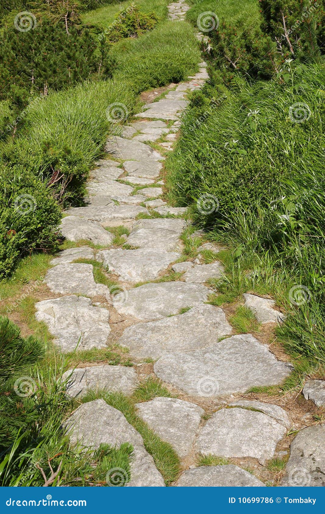 Stone path stock photo. Image of park, footpath, live - 10699786