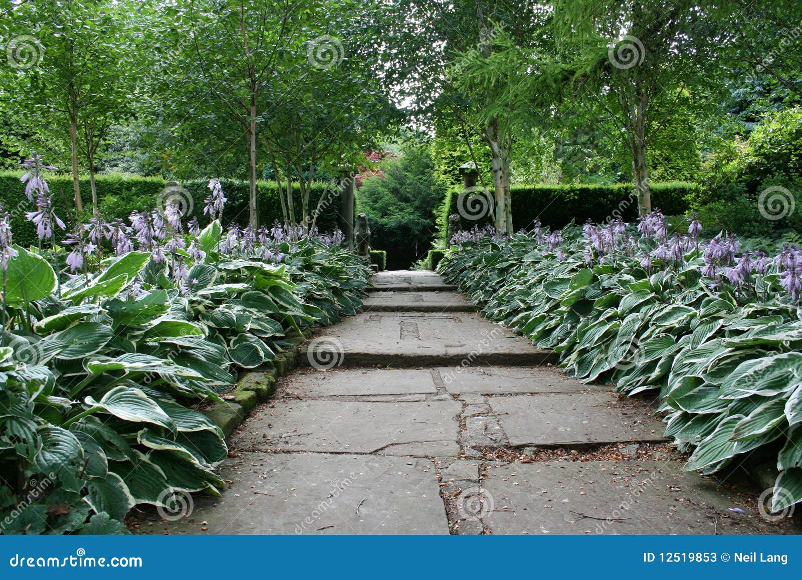Stone path stock image. Image of footpath, formal, landscaped - 12519853