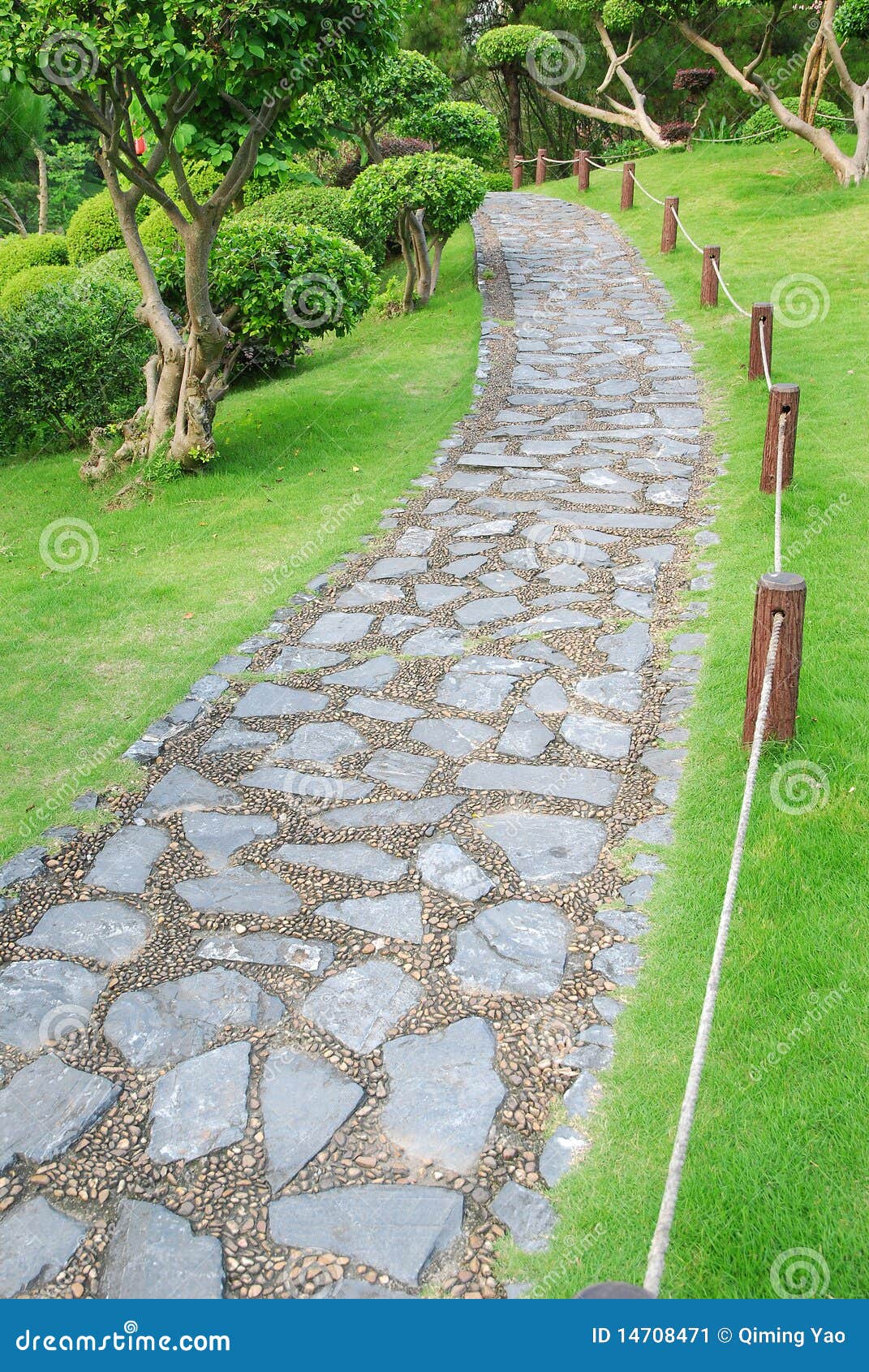 Stone path stock image. Image of beauty, growth, direction - 14708471