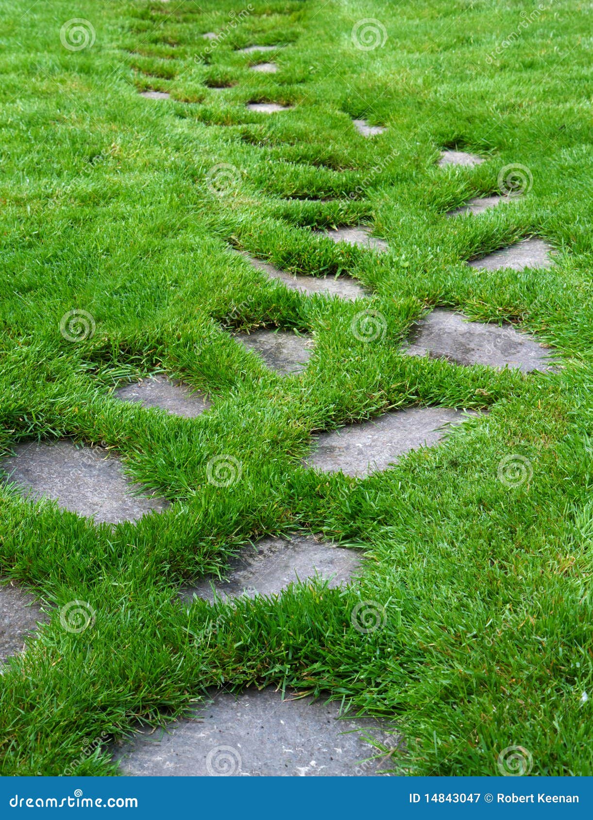 Stone Path stock image. Image of alley, natural, green - 14843047
