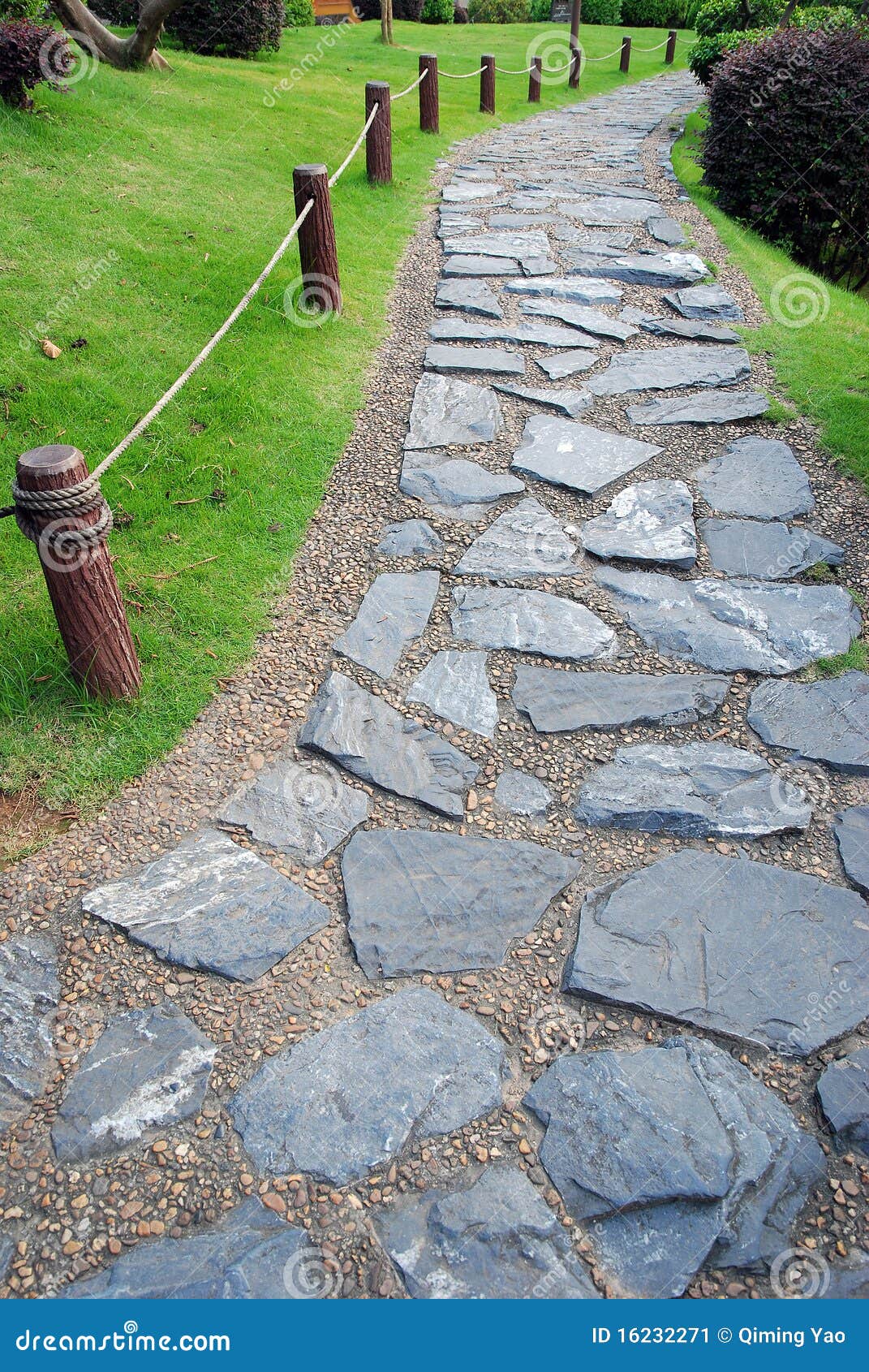 Stone Path In Green Grass Garden Texture Royalty-Free Stock Photography ...