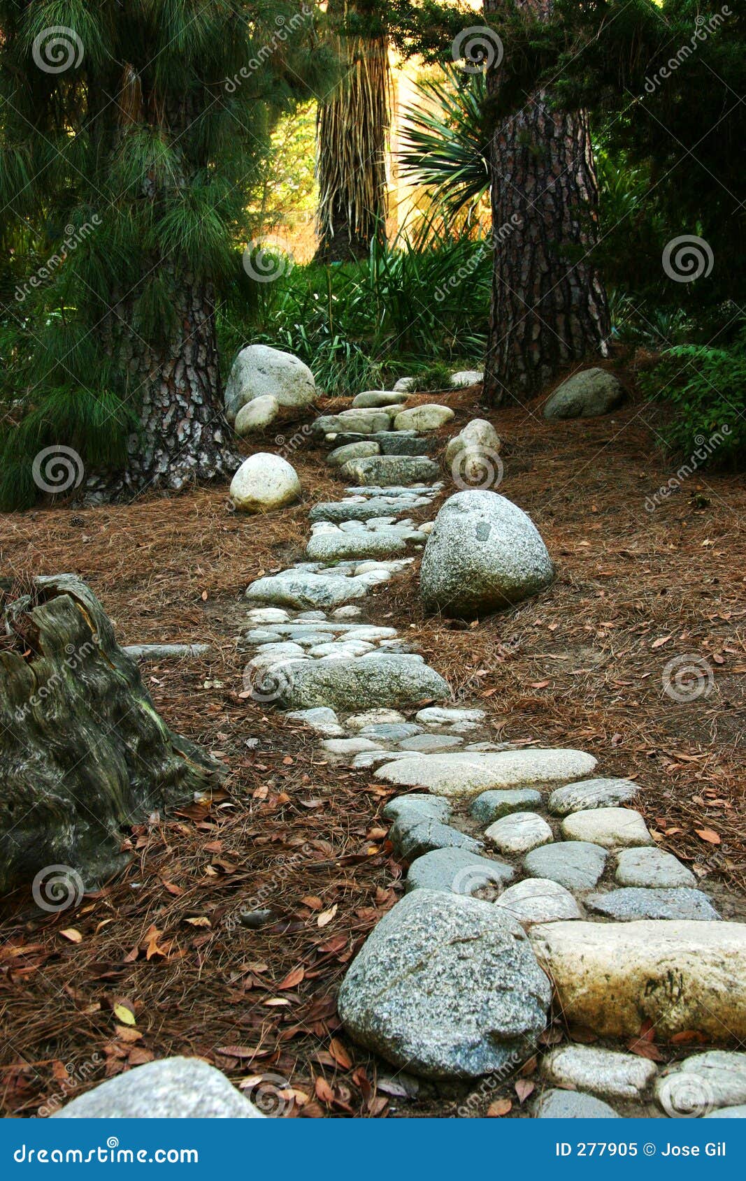 Stone Path 2 stock image. Image of autumn, woods, trees - 277905