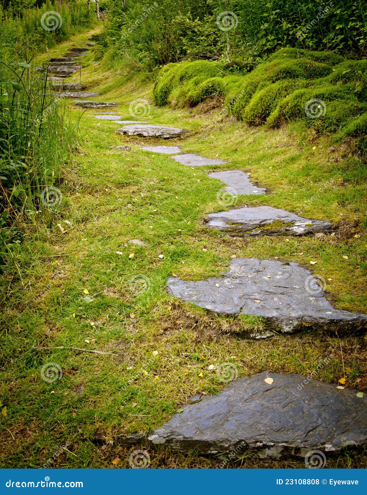 Stone path stock photo. Image of upward, shape, path - 23108808