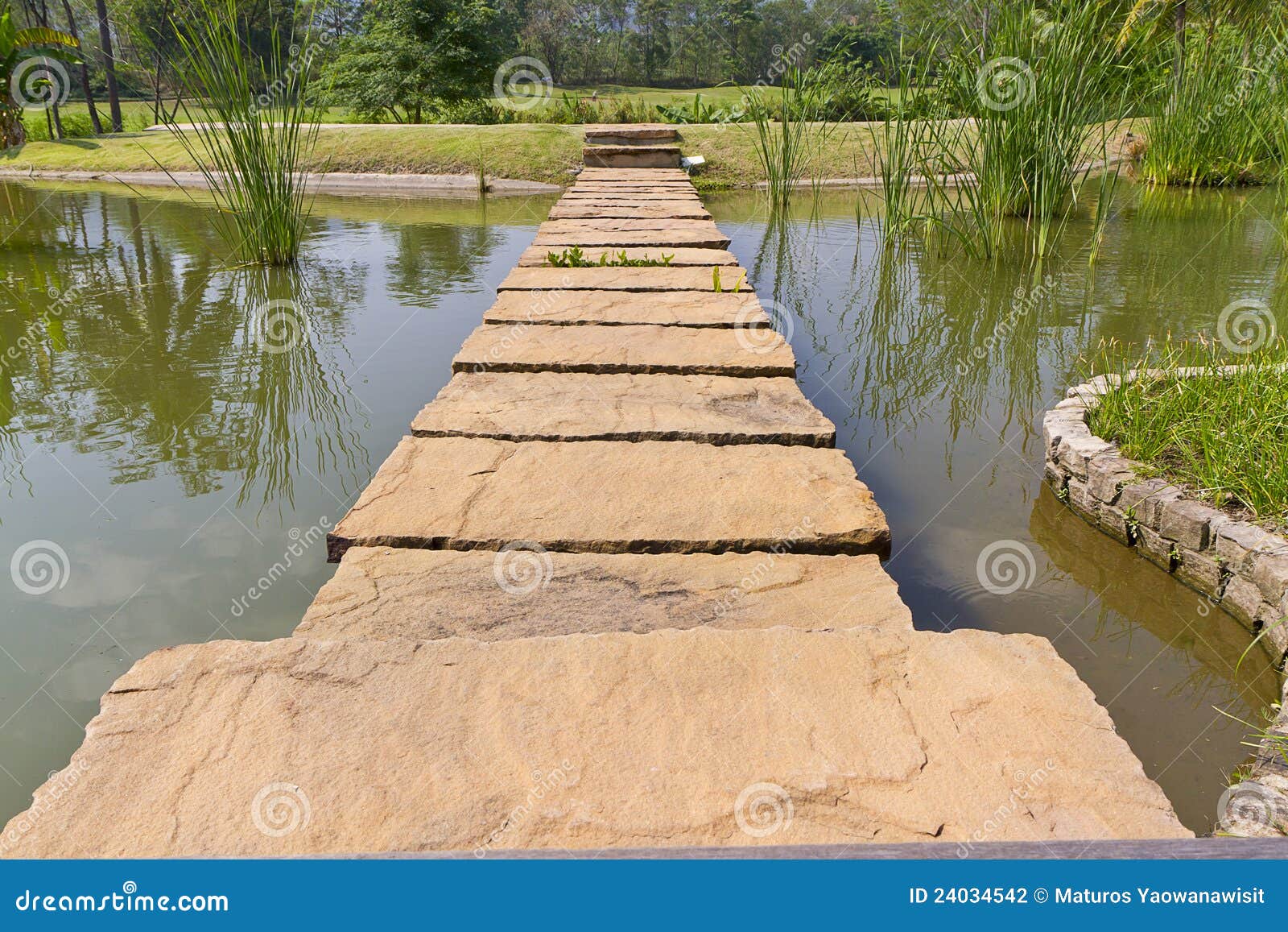 Stone path stock photo. Image of daylight, carp, blossom - 24034542