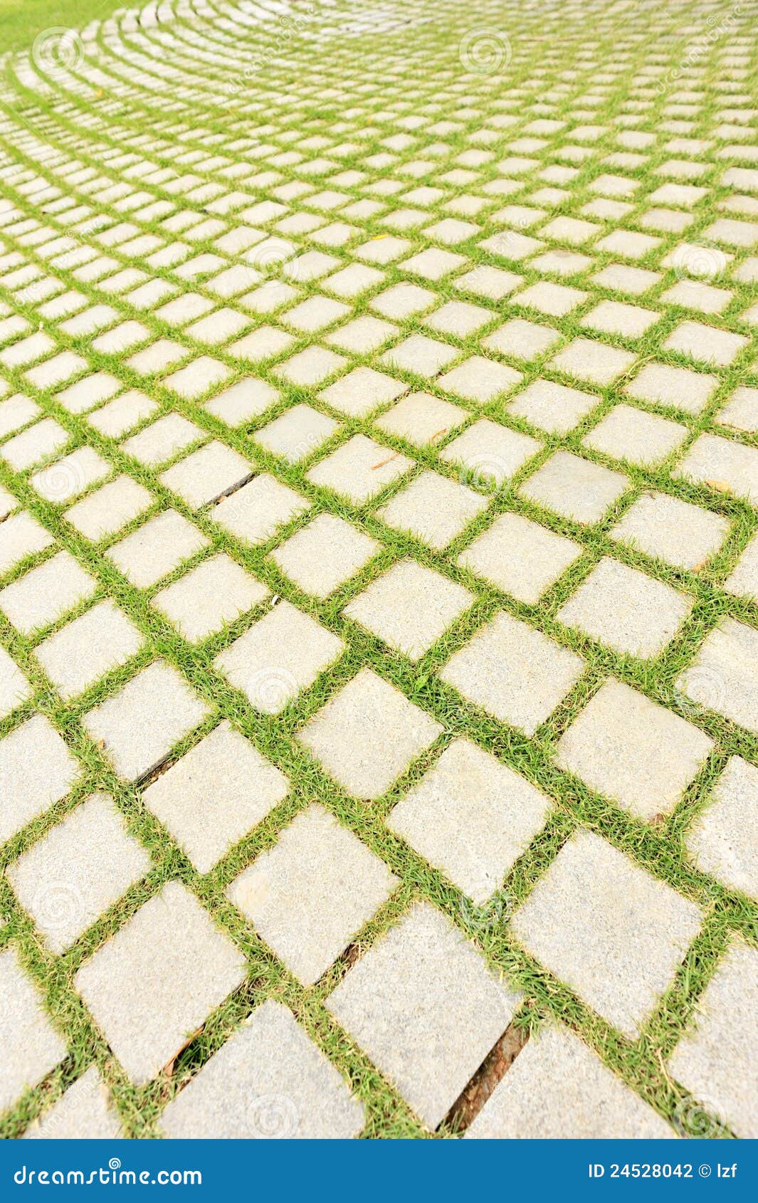 Stone path stock photo. Image of natural, pathway, passageway - 24528042