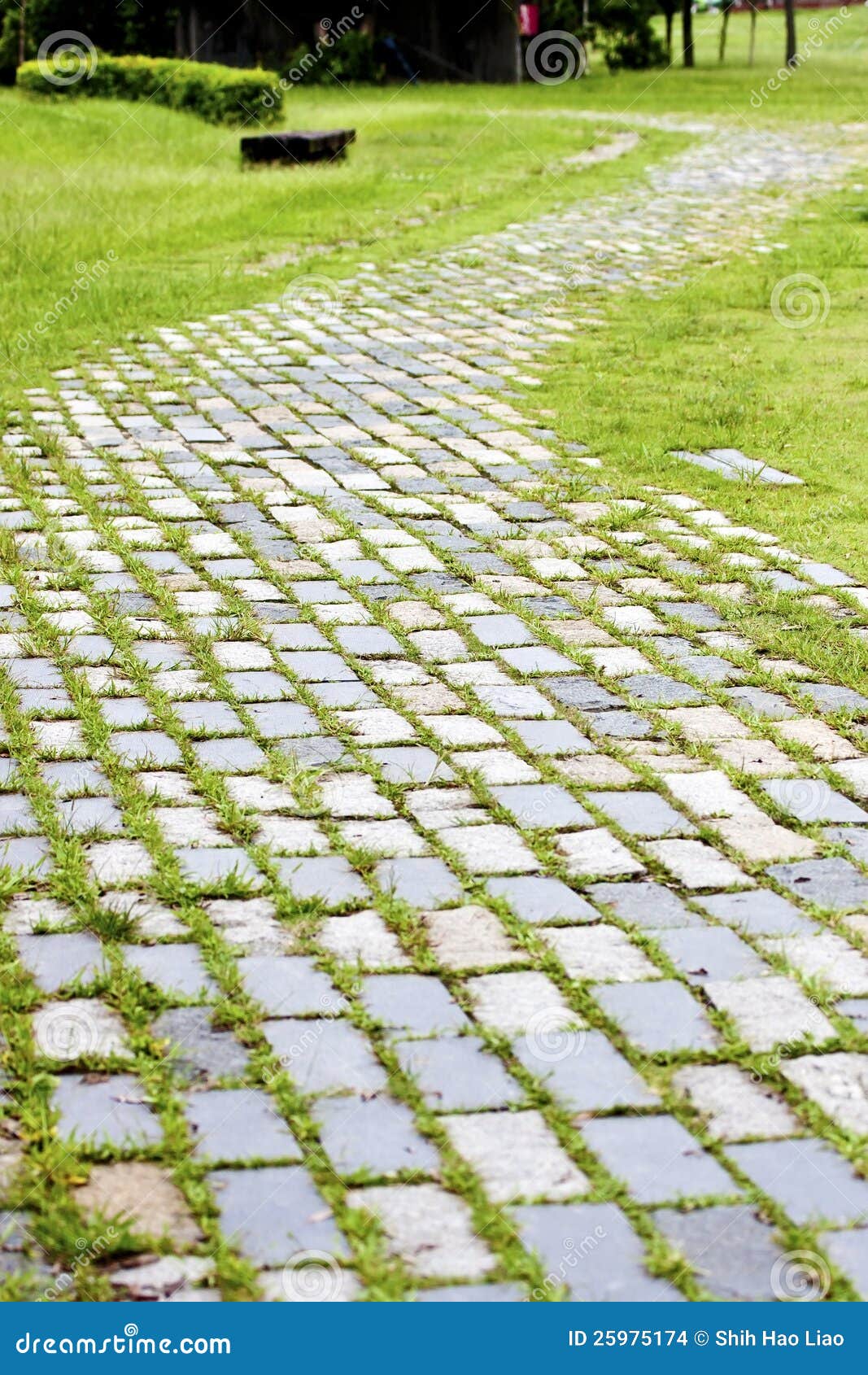 Stone path stock photo. Image of direction, outdoor, green - 25975174