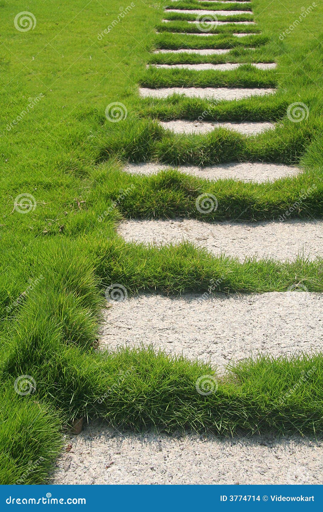 Stone path stock photo. Image of future, line, curve, direct - 3774714