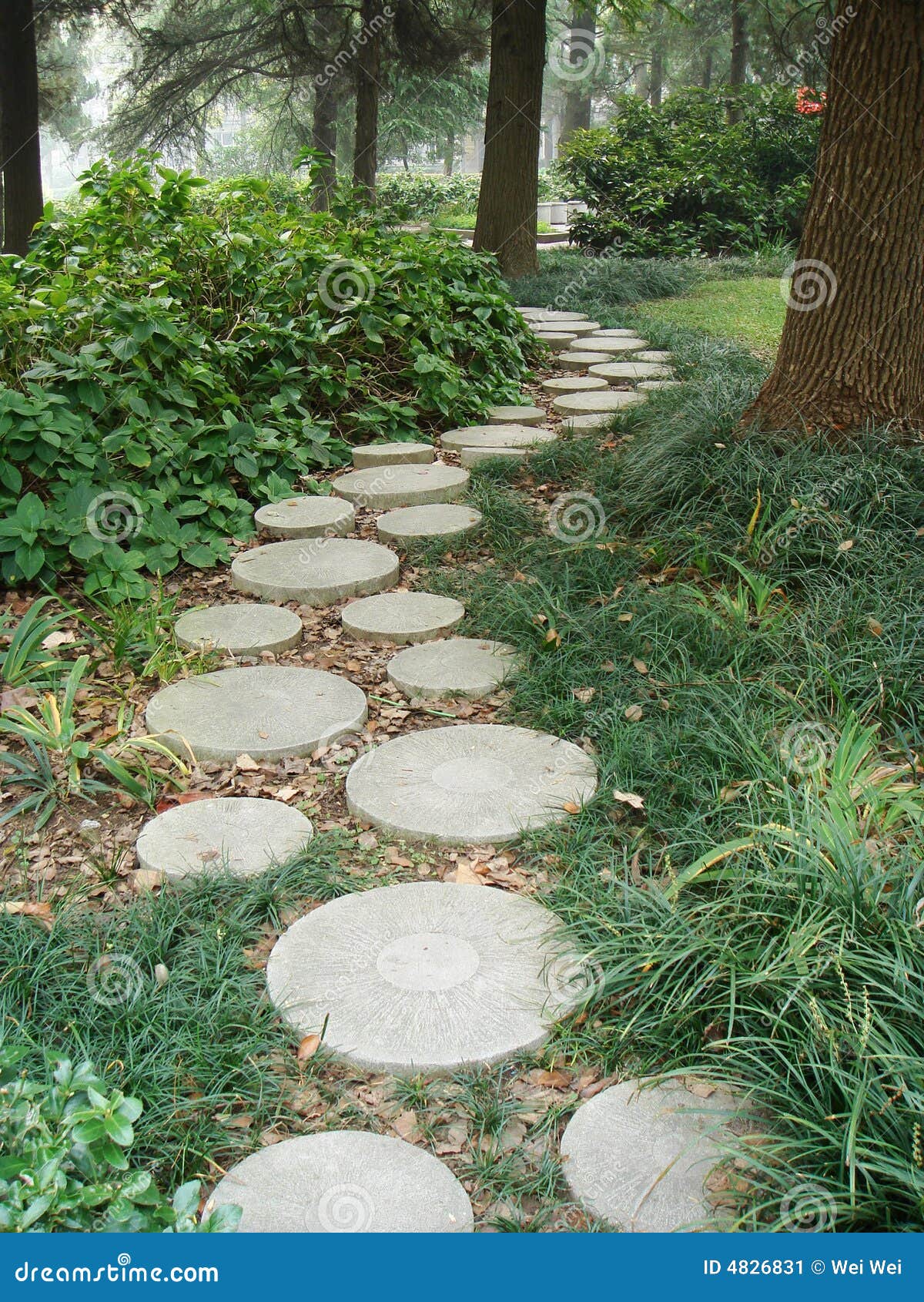 Stone path stock image. Image of path, tree, circle, leaf - 4826831