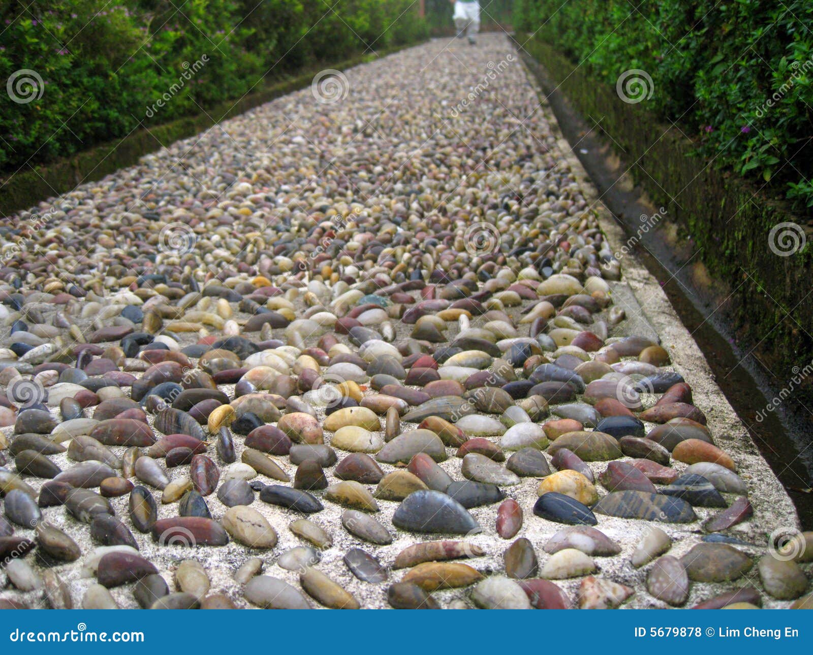 Stone path stock photo. Image of stone, walkway, path - 5679878