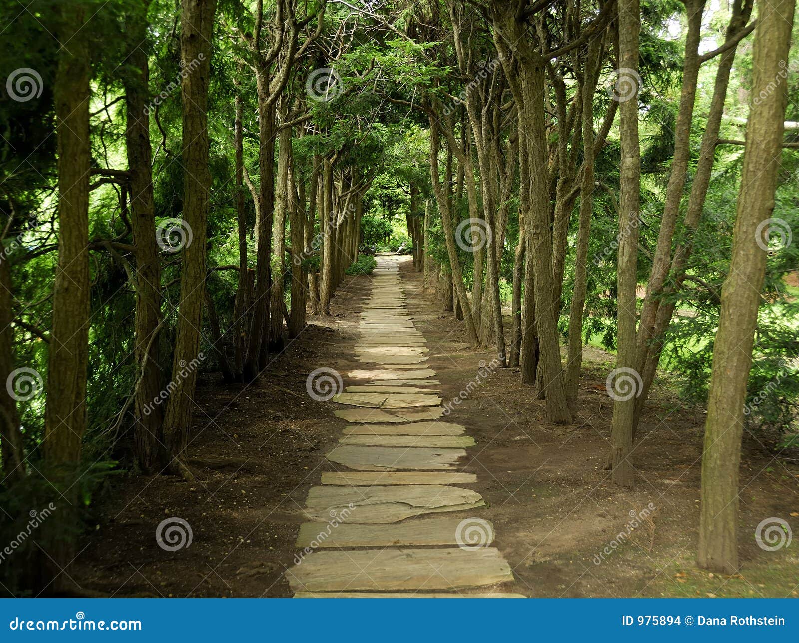Stone Path stock photo. Image of path, stone, nature, landscape - 975894