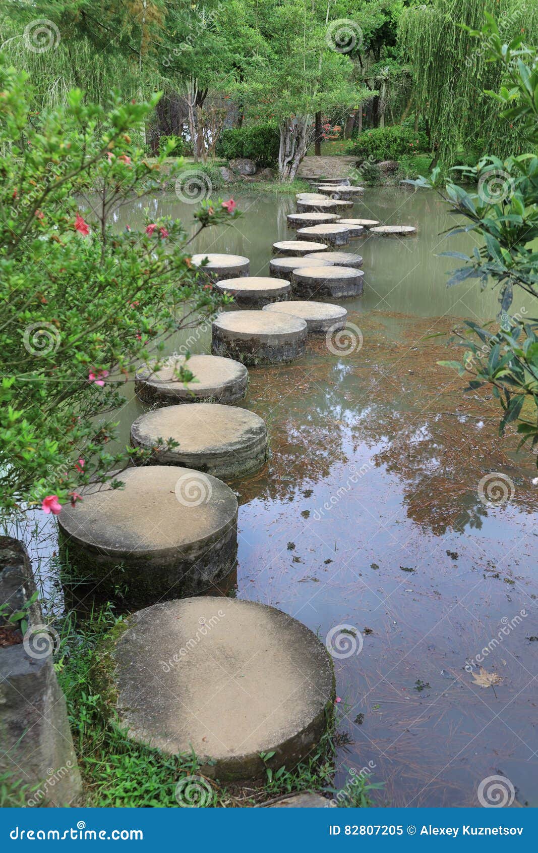 Stone path across the pond stock image. Image of lush - 82807205