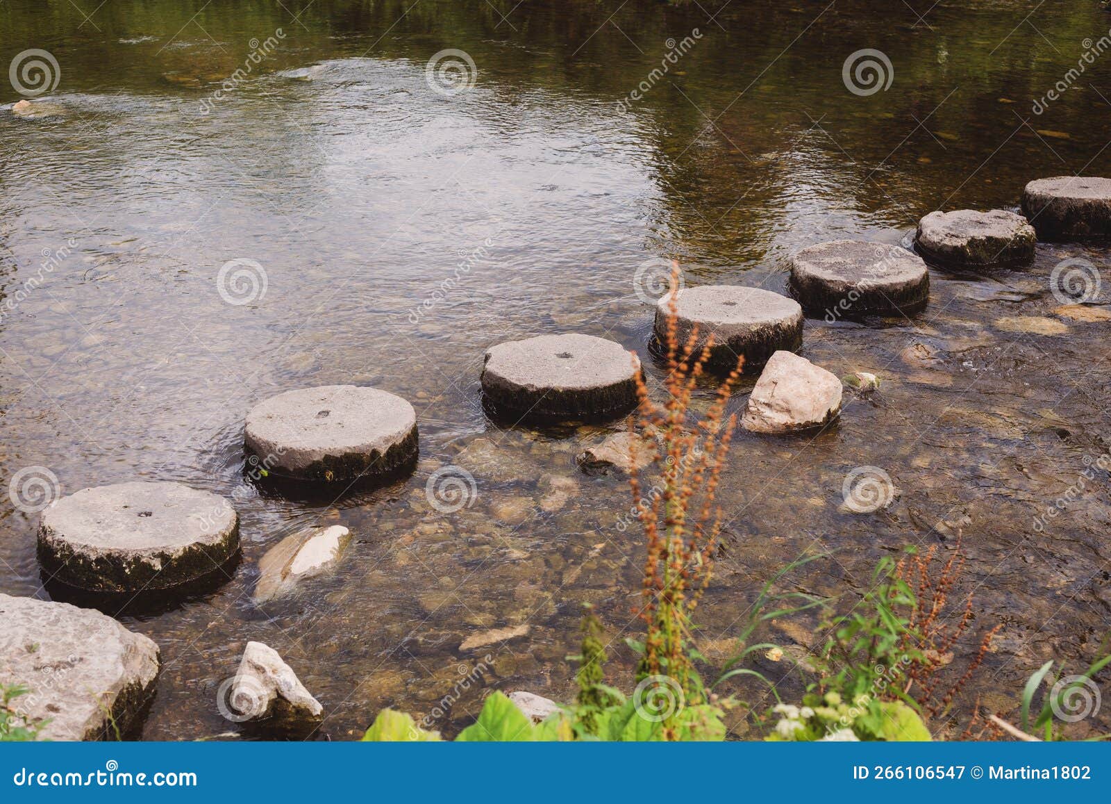 Path across the river stock image. Image of scenic, stream - 266106547