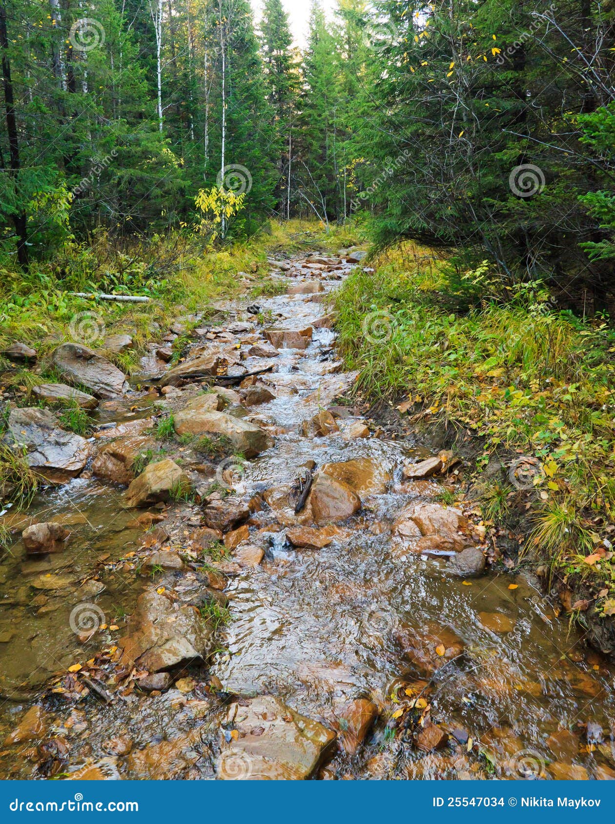 A Stone Path Along the River Stock Photo - Image of leaf, road: 25547034