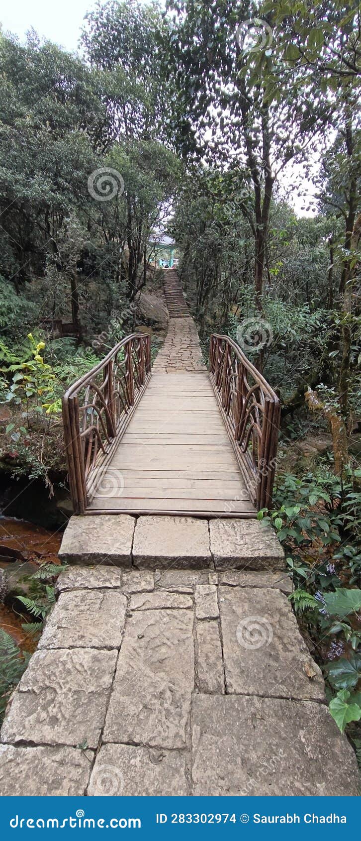 Stone path and bridge stock photo. Image of planks, garden - 283302974