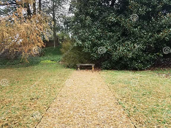 Stone Path Covered in Brown Pine Needles and Bench and Grass Stock ...