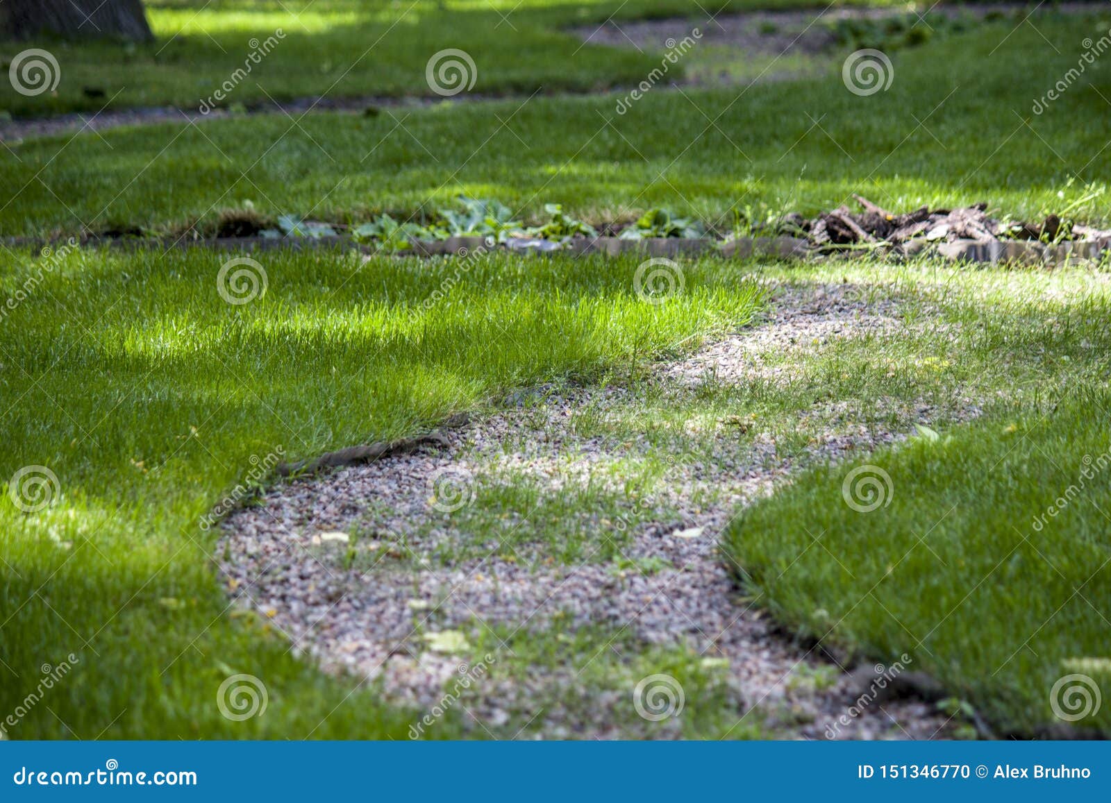 Decorative Walkway in the Park. Stock Photo - Image of park, light ...