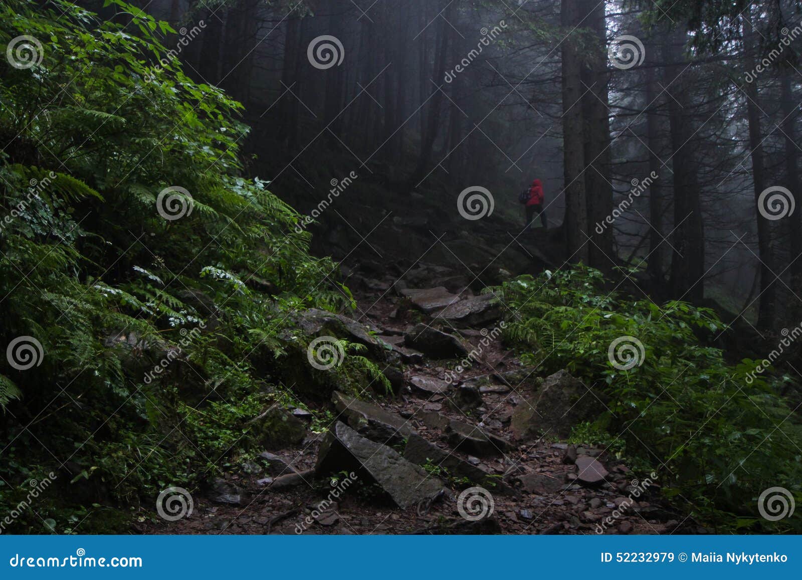 Stone Path through the Dark Forest Stock Image - Image of pathway ...