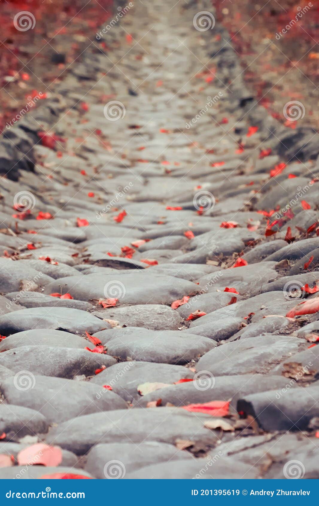 Stone Path with Fallen Red Autumn Leaves Stock Image - Image of clay ...