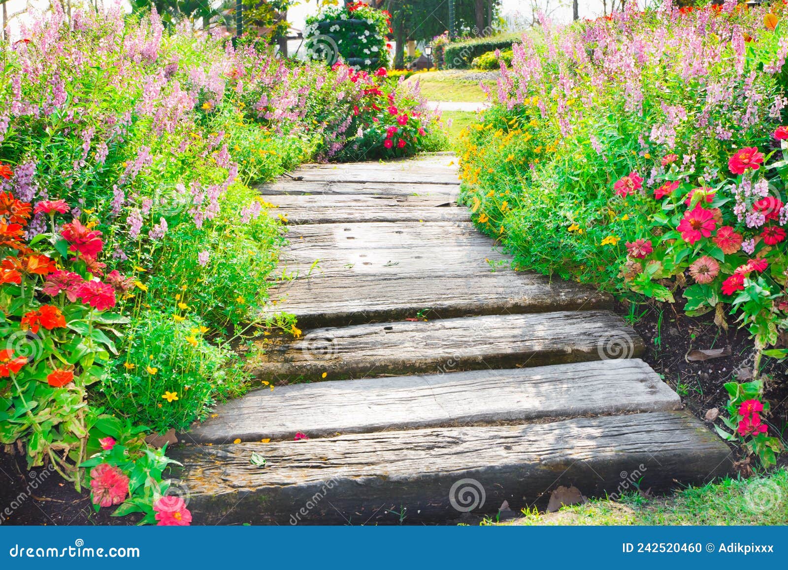 Beautiful Flower Path