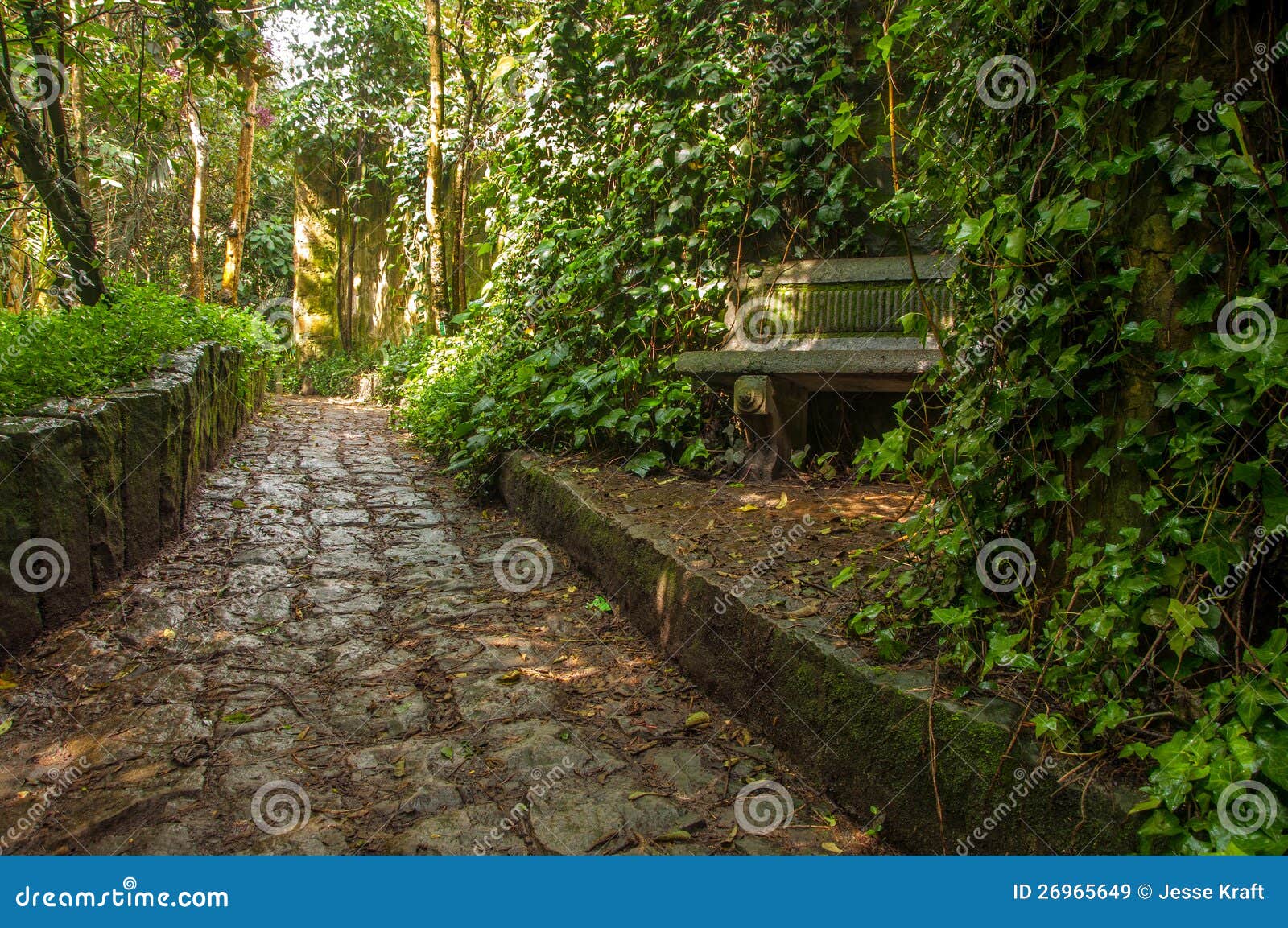 Stone Path through a Forest Stock Image - Image of scenic, natural ...