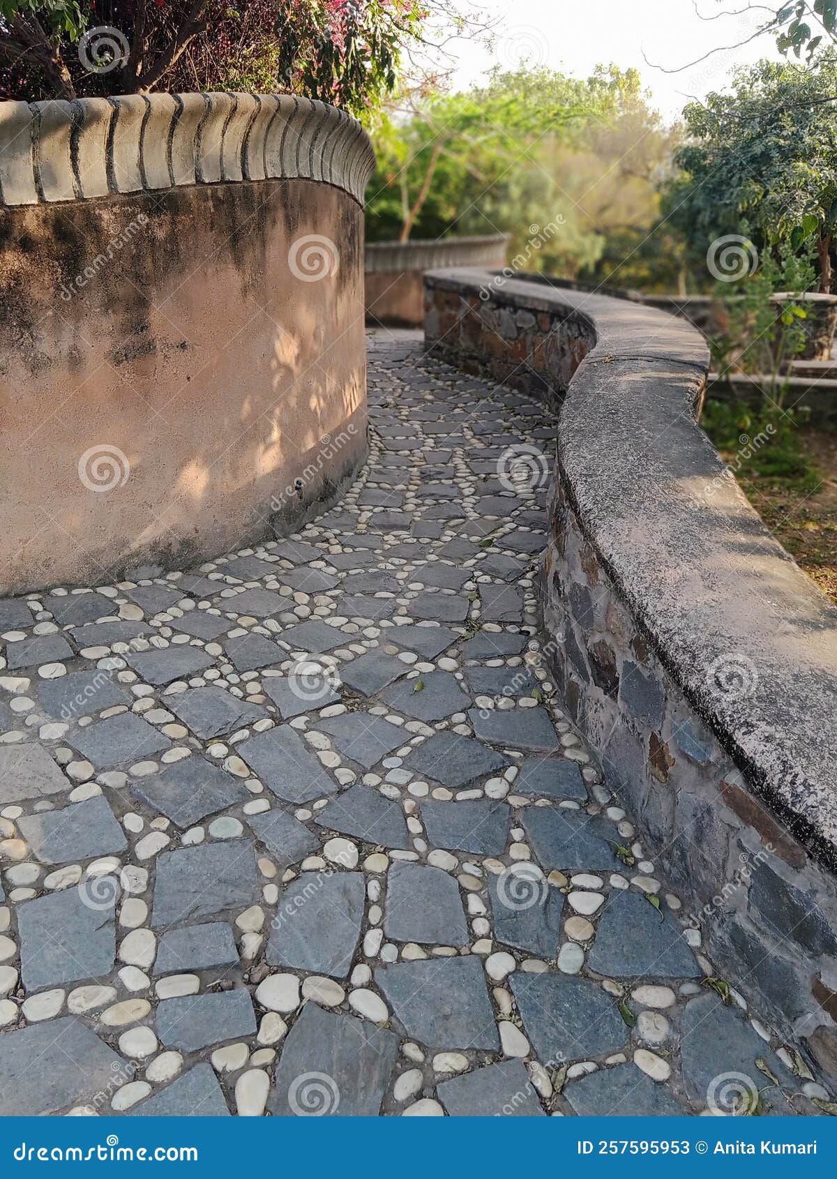 Stone path in the garden stock image. Image of environment - 257595953