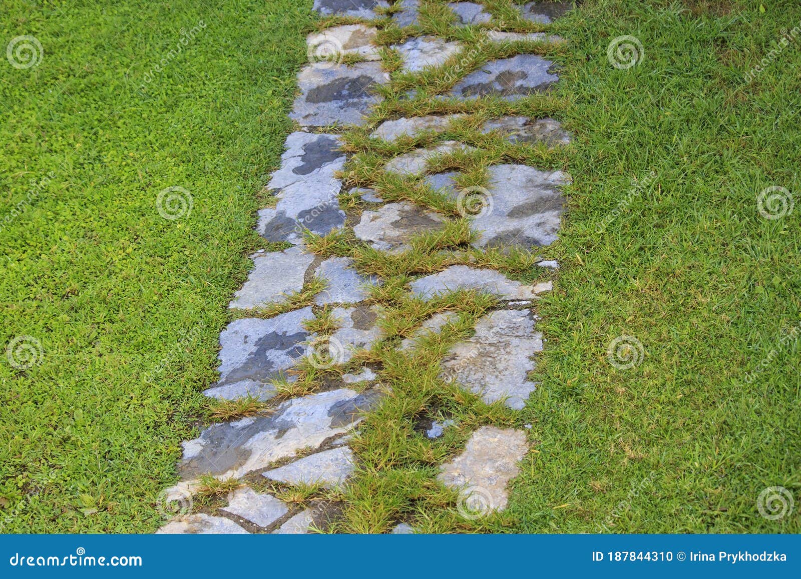 Stone path in the garden stock photo. Image of walkway - 187844310