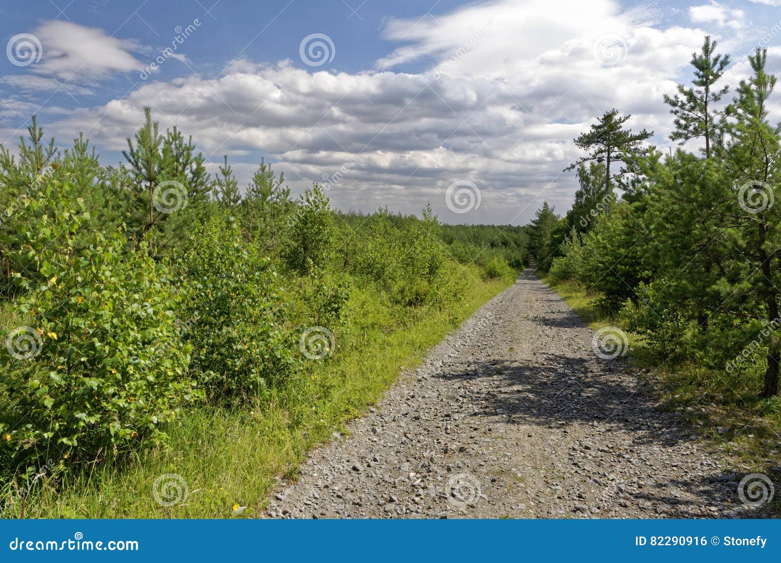 Stone Path Going in between Two Sides of Lush Green Lands Stock Photo ...