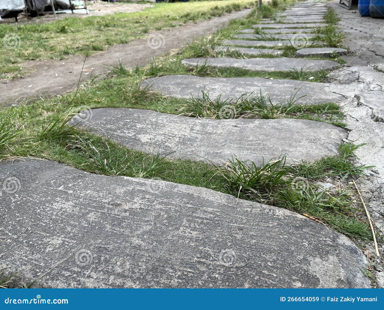 Stone Path and Grass for Decoration. Stock Image - Image of landscape ...