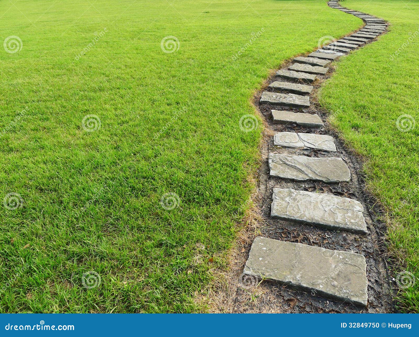 Stone path in grass stock photo. Image of calm, environment - 32849750
