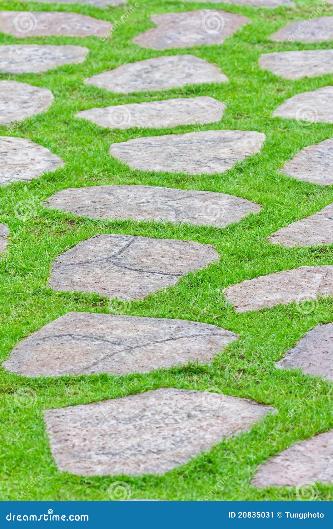 Stone path on green grass stock image. Image of color - 20835031