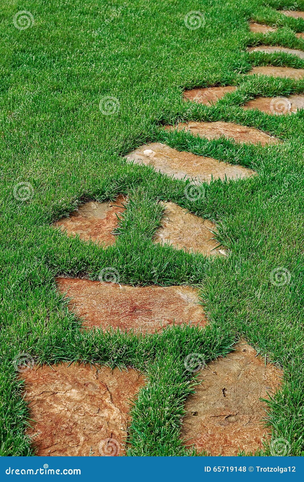 Stone Path in Green Grass As a Background Stock Photo - Image of ...