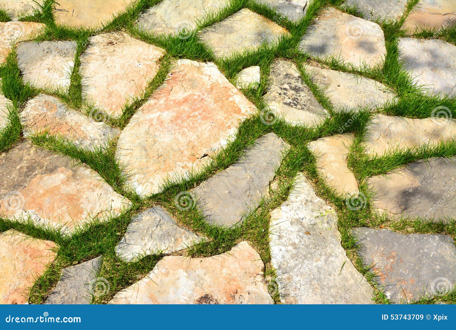 5,916 Walk Path Grass Pattern Stock Photos - Free & Royalty-Free Stock ...