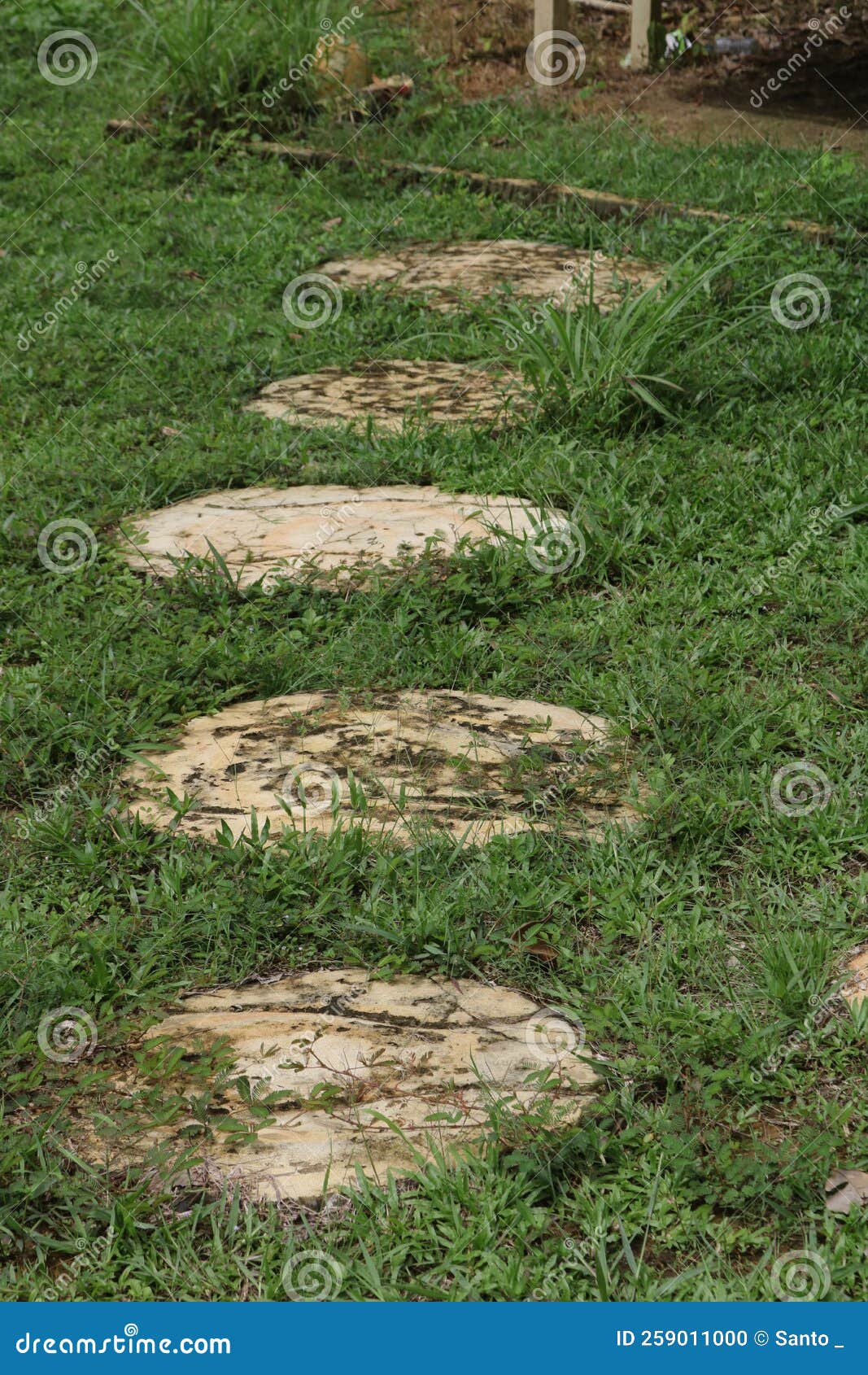 Stone Path with Green Grass Stock Photo - Image of wall, walkway: 259011000