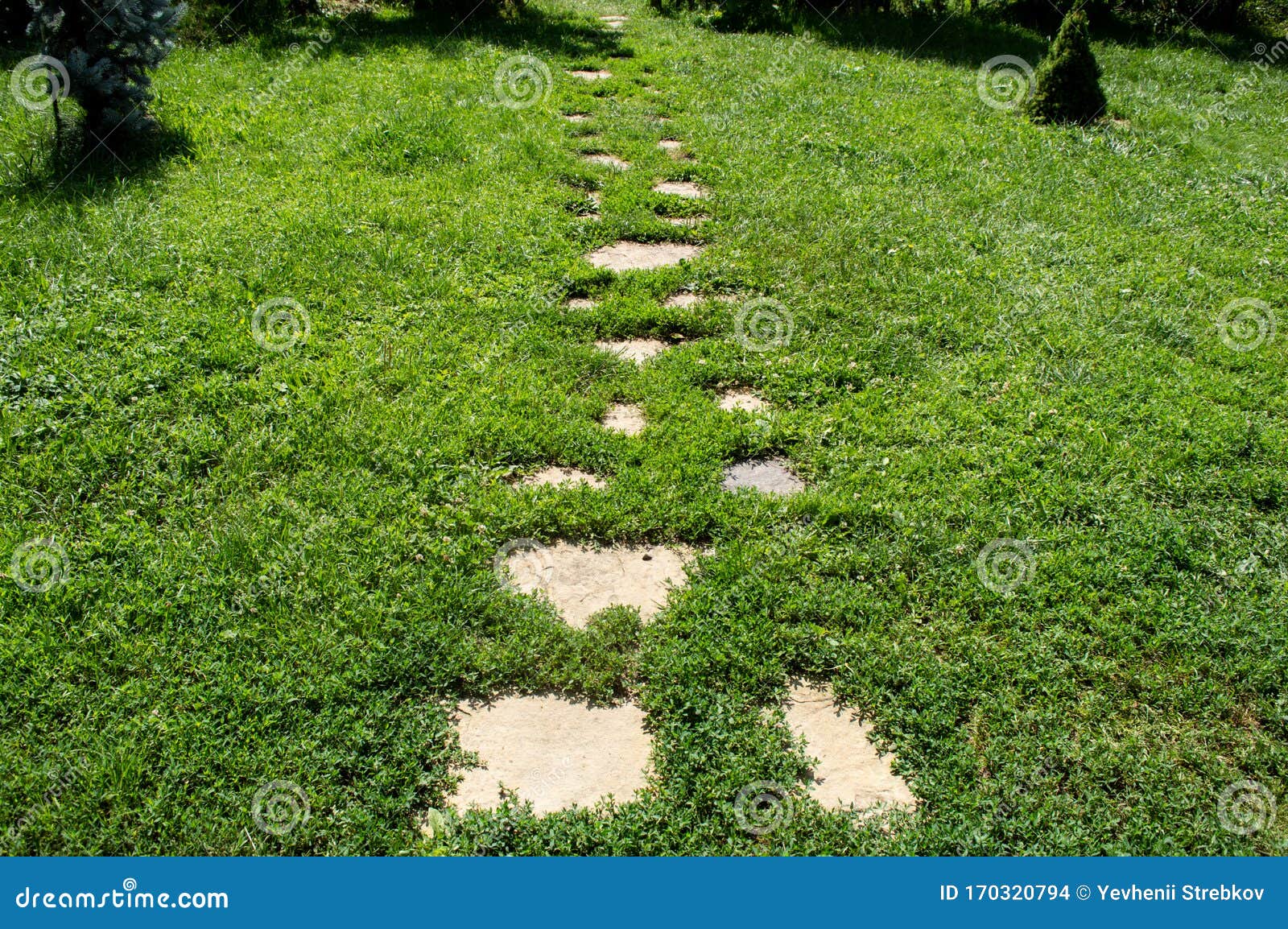 Stone path on green grass stock photo. Image of autumn - 170320794